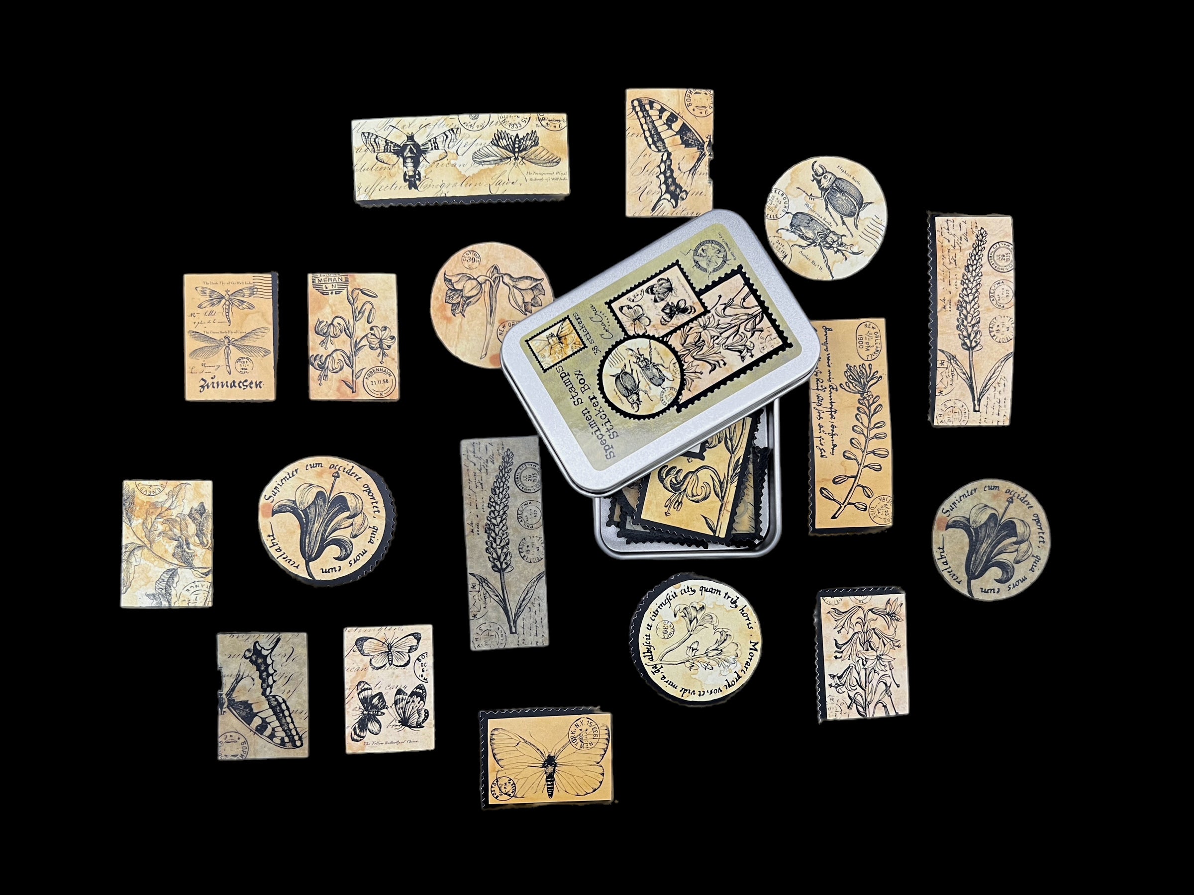 Specimen Sticker Tin Box - Discover 's Stickers – CoraCreaCrafts