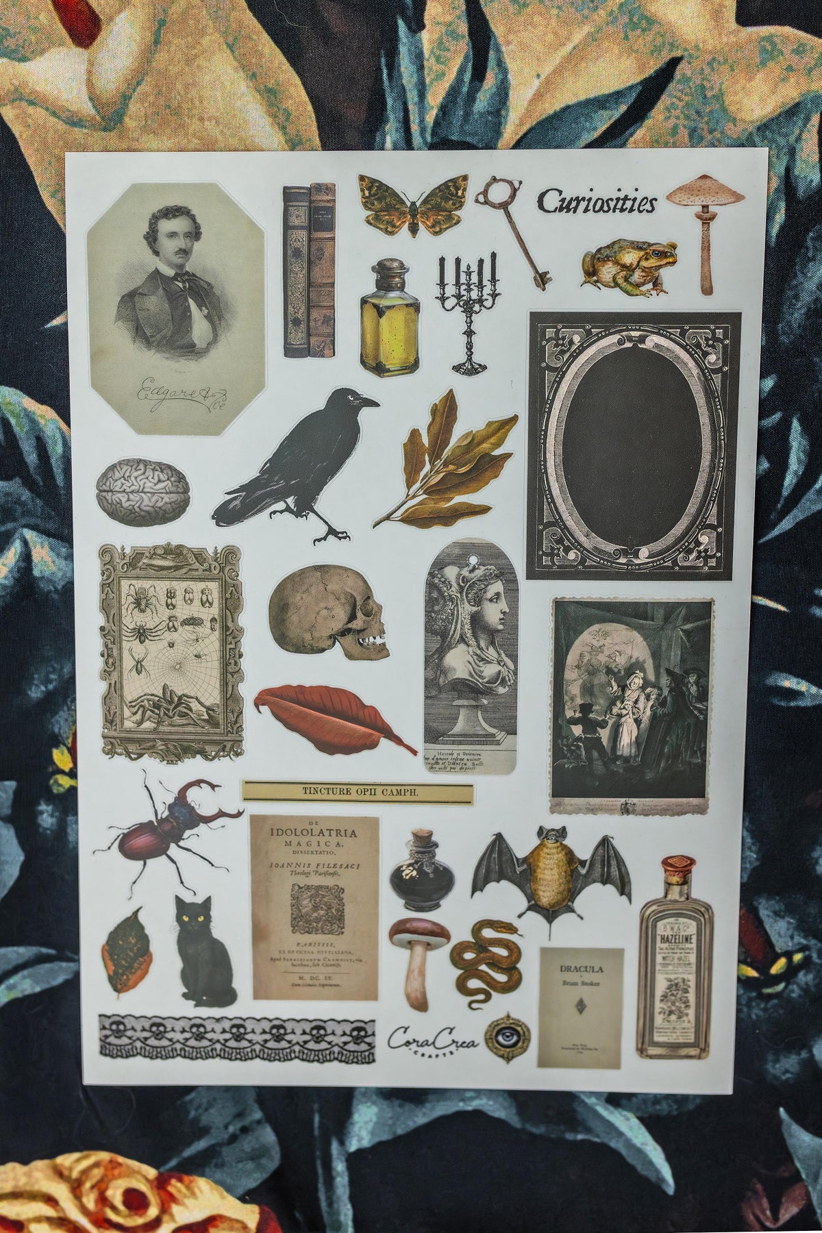 Curiosities Sticker Sheet — Sticker Sheets | CoraCreaC