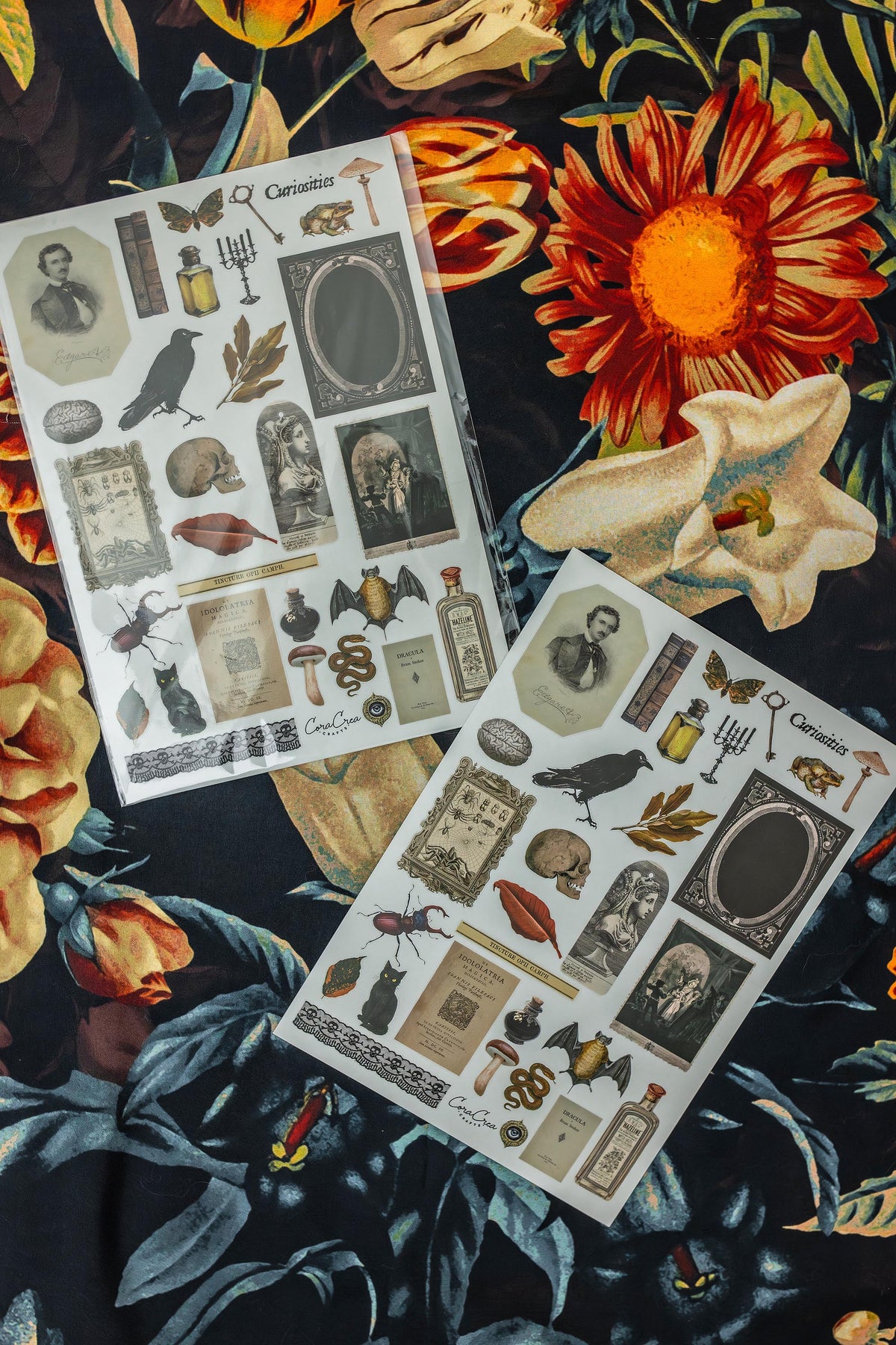 Curiosities Sticker Sheet — Sticker Sheets | CoraCreaC