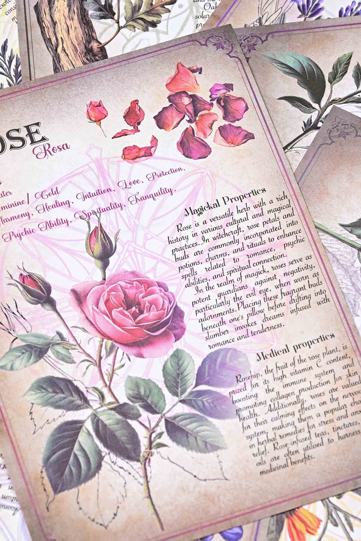 Herbal Magic Paper Set — Papers | CoraCreaCrafts